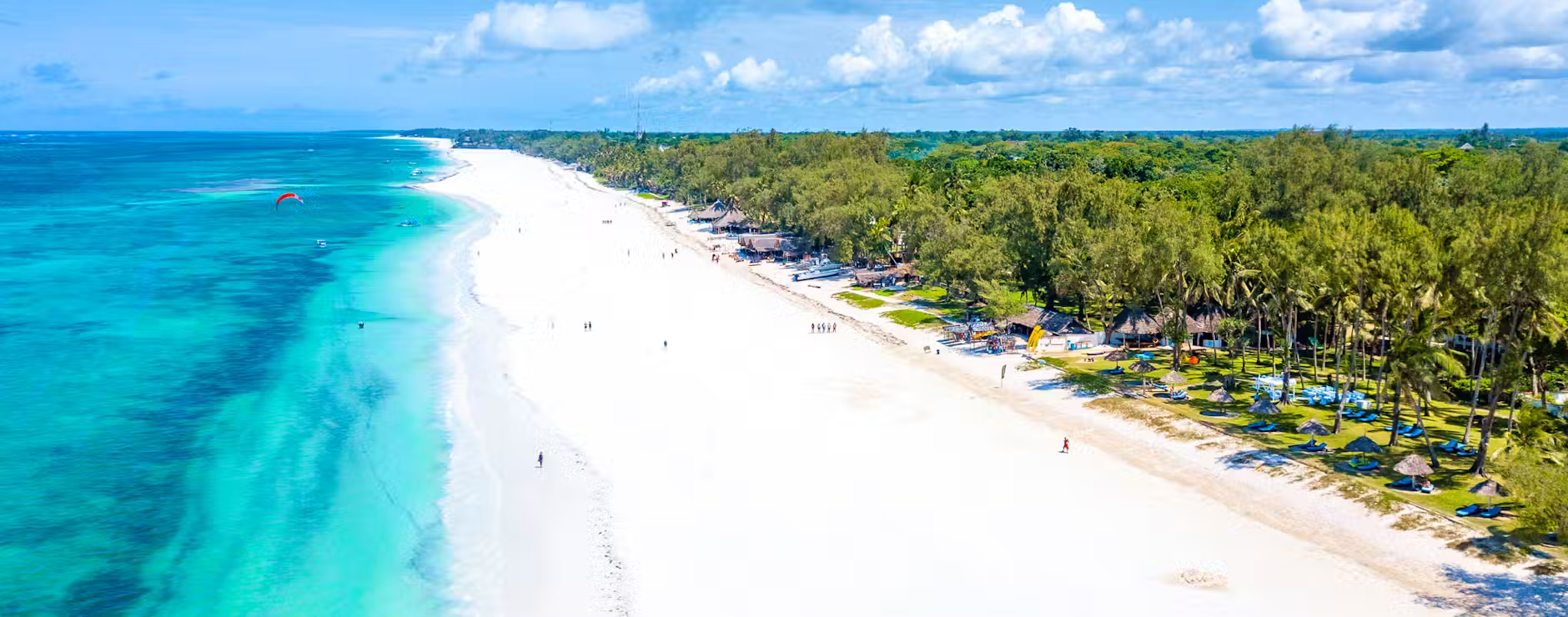 Diani Beach Safaris | Grey Impala Safari Ltd
